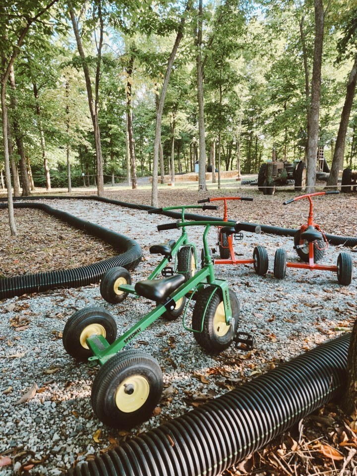 Activities & Admission – Hillside Acres